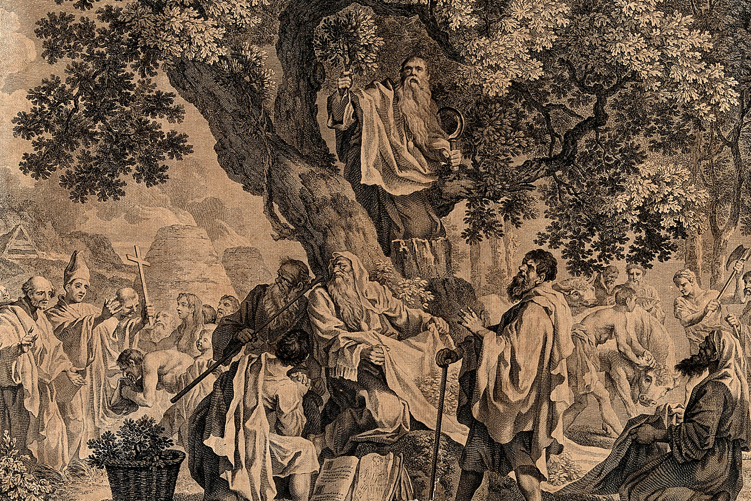 The Druids of Britain: Ancient Celtic Priests – The Curious Mag